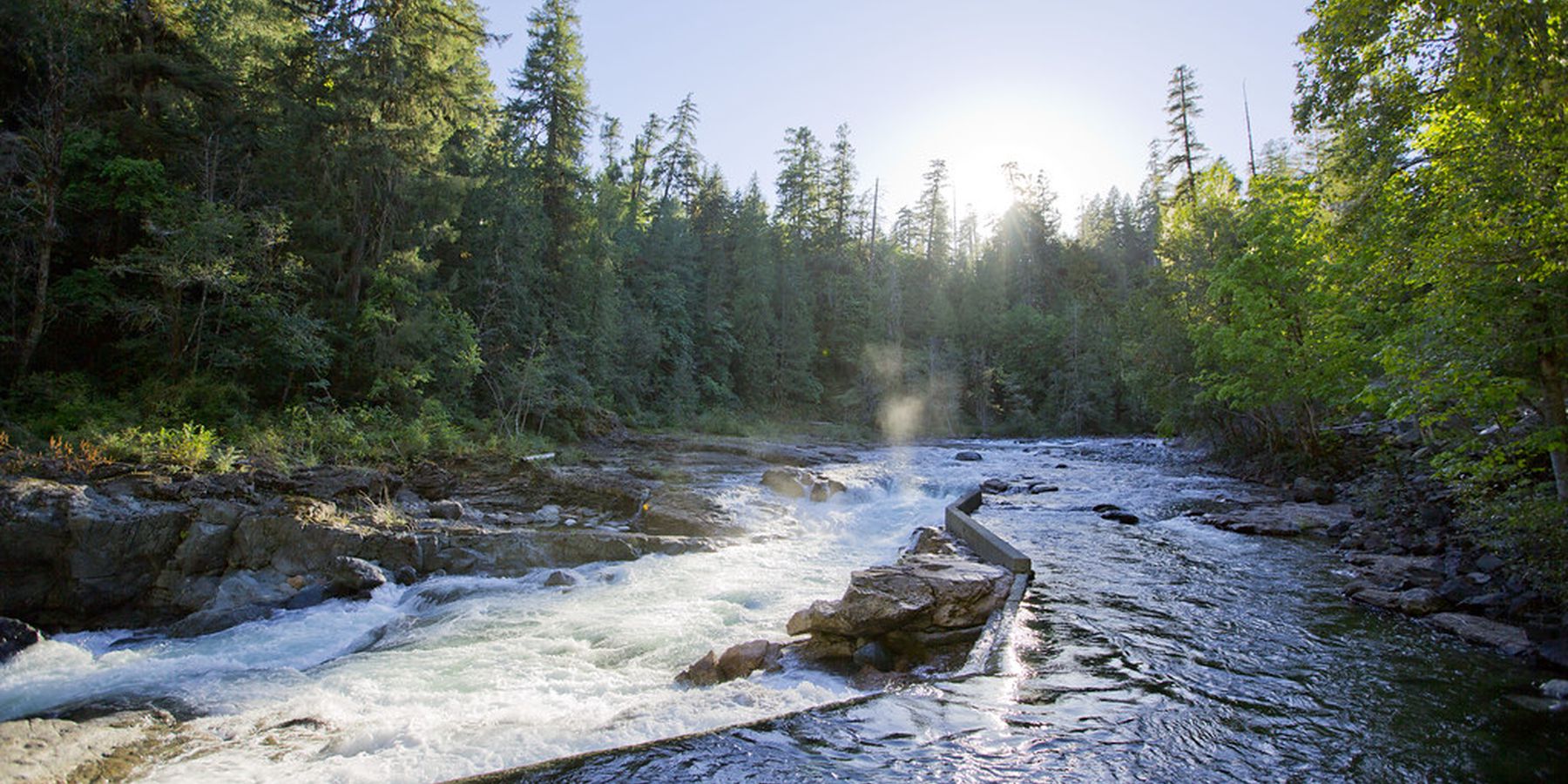 Bezoek Stamp River Provincial Park | Doets Reizen