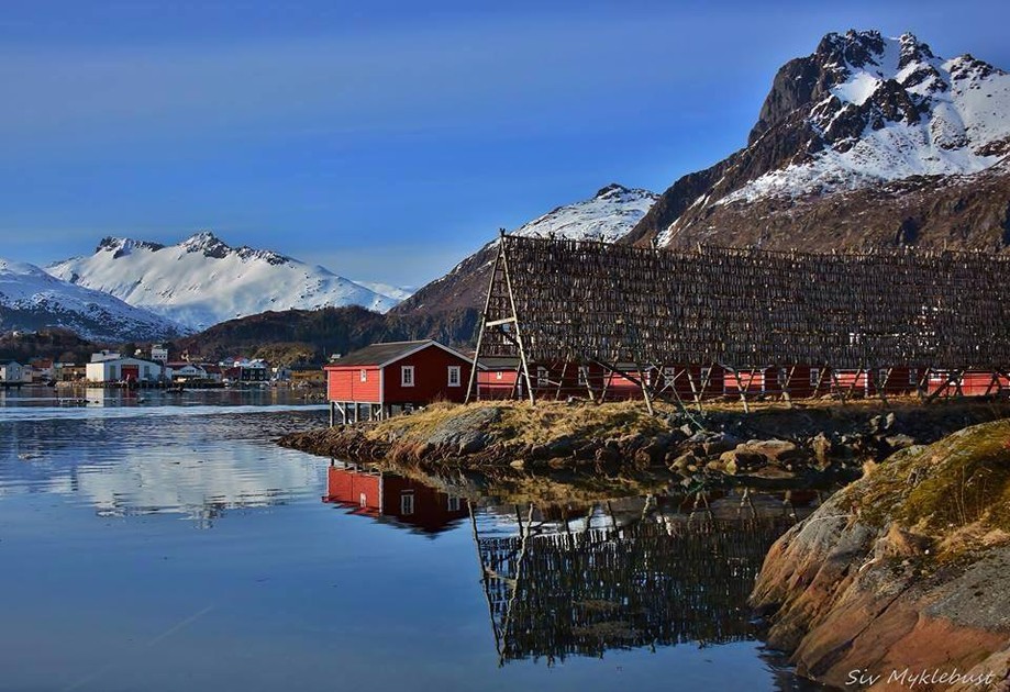 Svinøya Rorbuer | Doets Reizen