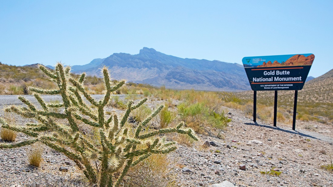 Gold Butte National Monument in Nevada | Doets Reizen