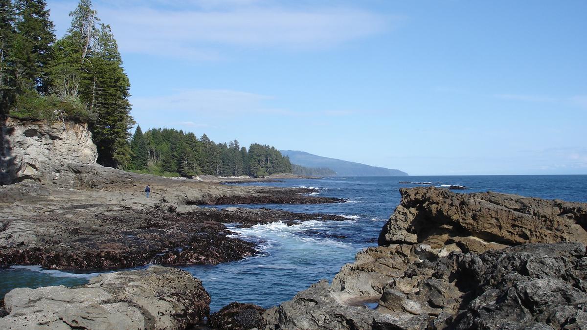 Camperreis Vancouver Island Adventure | Doets Reizen