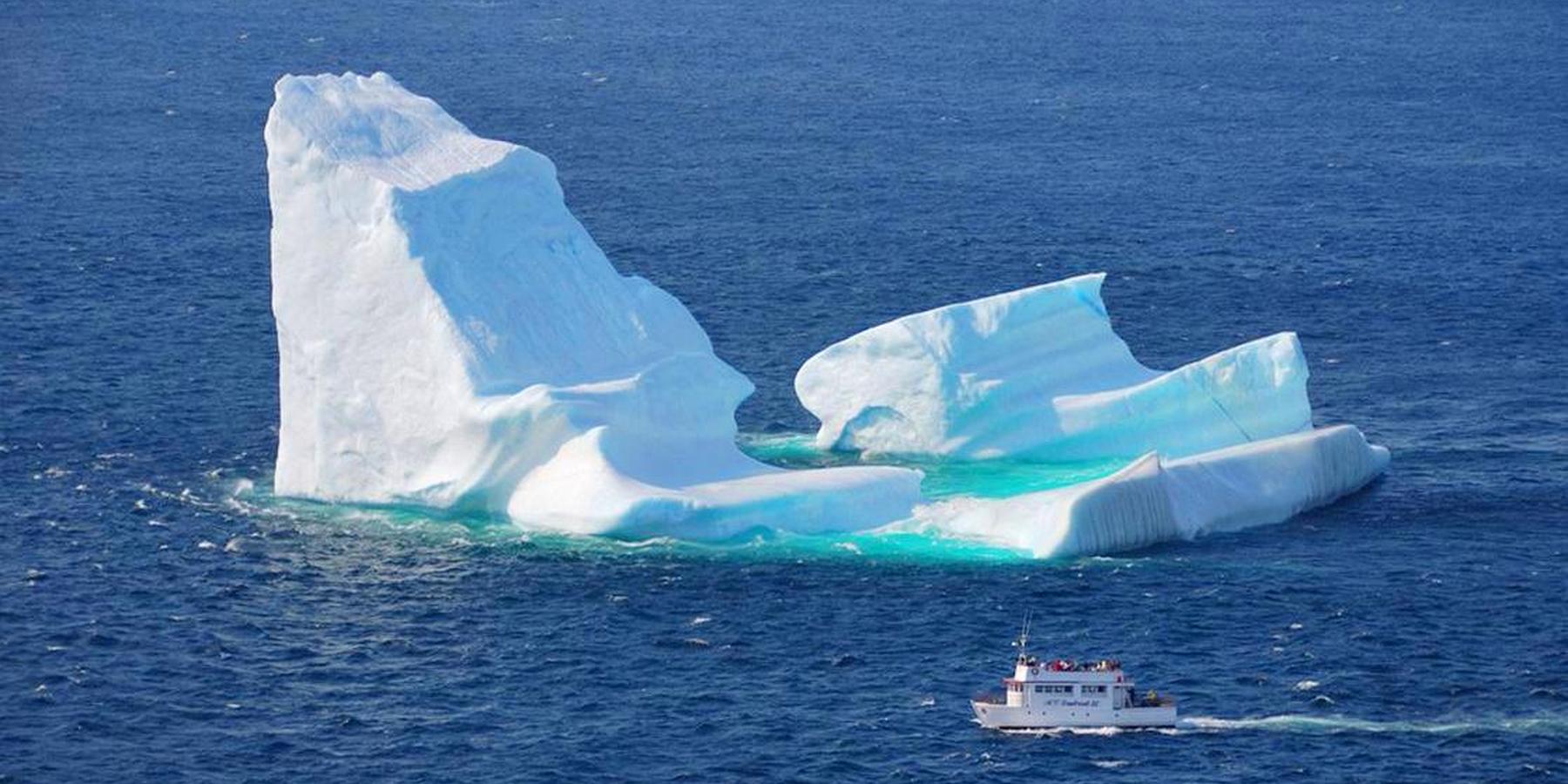 Iceberg Alley Newfoundland | Doets Reizen