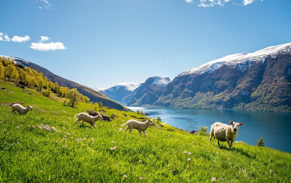 Bezoek Flåm | Doets Reizen