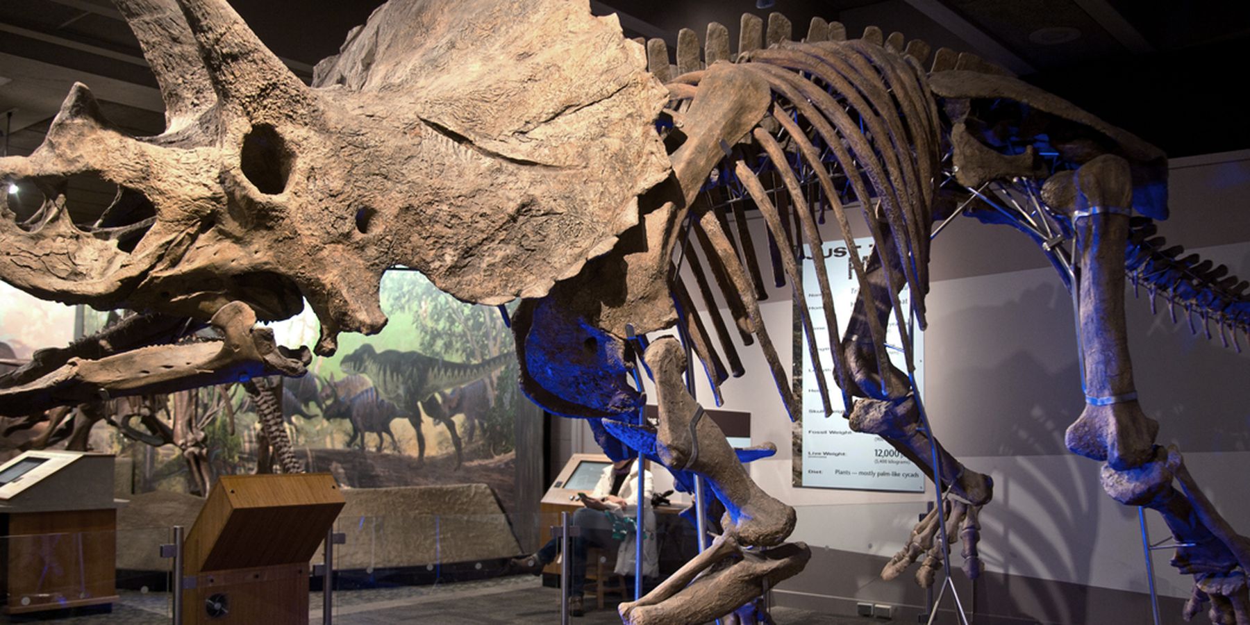 Bezoek Boston Museum of Science | Doets Reizen