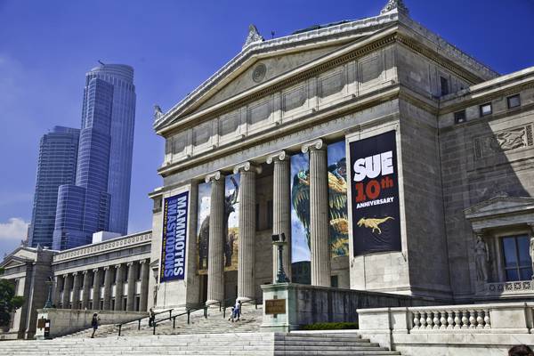 Stedentrip Chicago | Doets Reizen | Doets Reizen