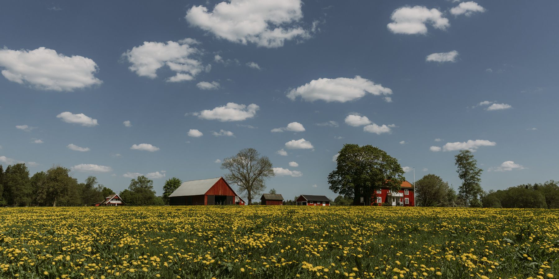 Op vakantie naar Hallands län | Doets Reizen