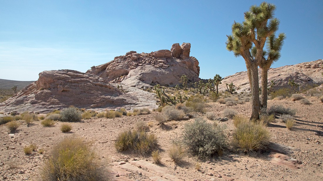 Gold Butte National Monument in Nevada | Doets Reizen