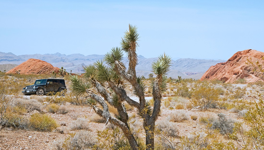 Gold Butte National Monument in Nevada | Doets Reizen