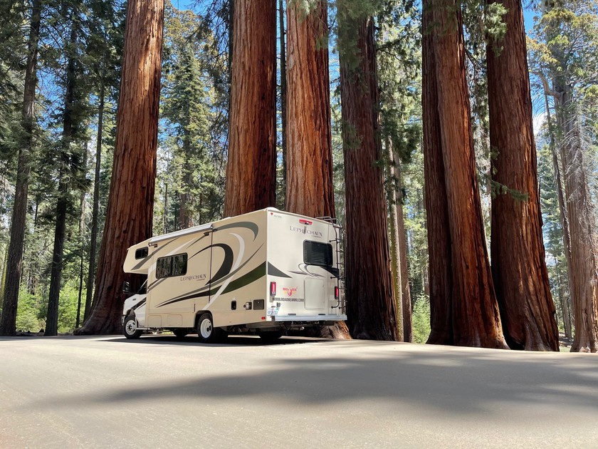 Wegbrengspecial Amerika Road Bear RV | Doets Reizen