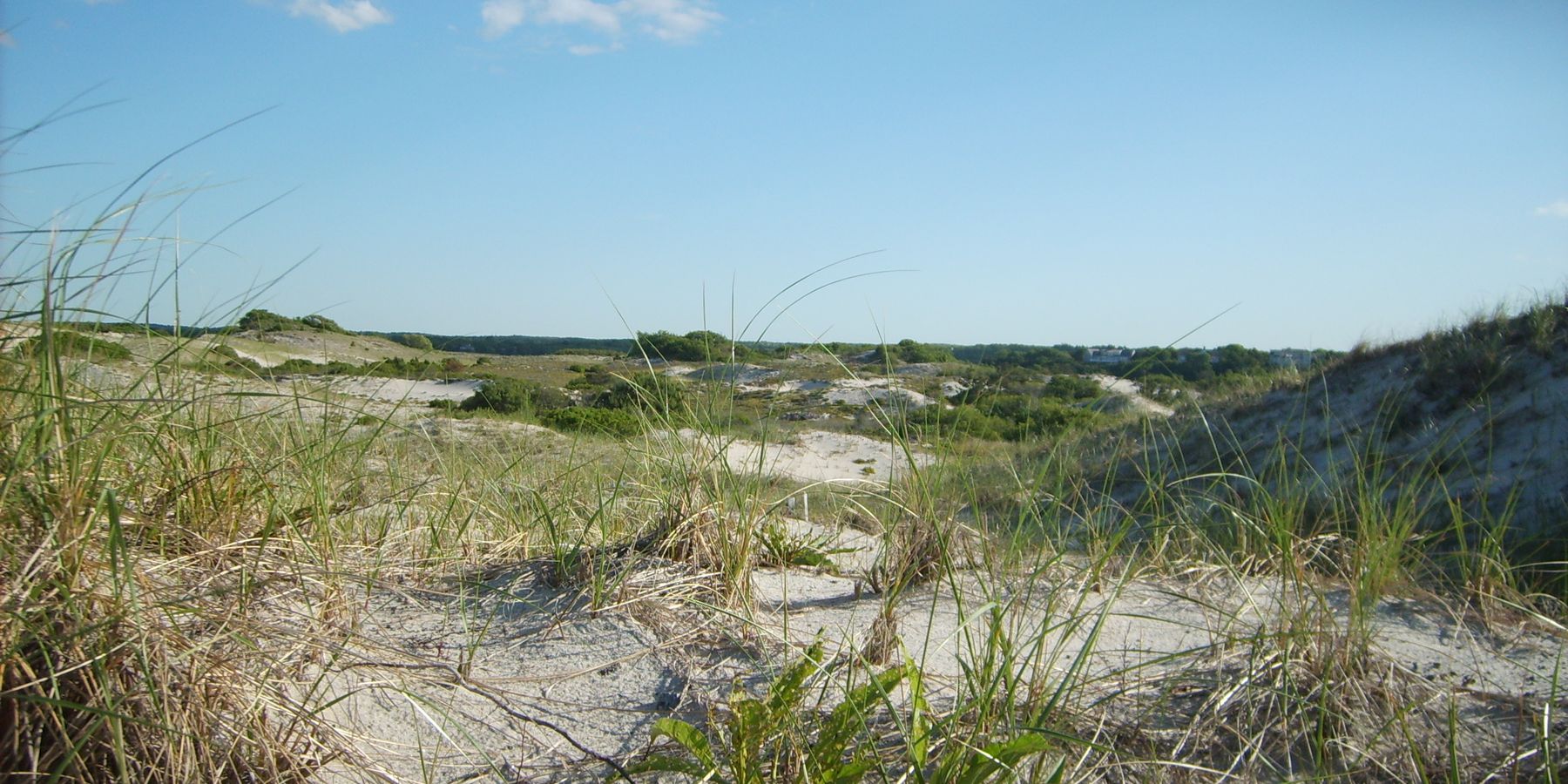 Bezoek Sandy Neck Beach | Doets Reizen